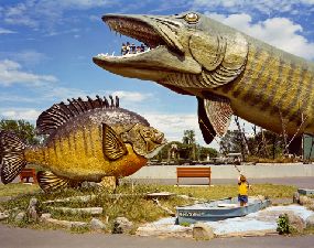 “I Knew I Could Be a Voice for Nature”—Four Decades at National ...