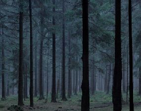 “I Knew I Could Be a Voice for Nature”—Four Decades at National ...