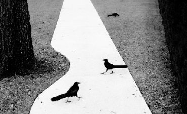 Up All Night on the Streets of Paris - Photographs by Rémy ...