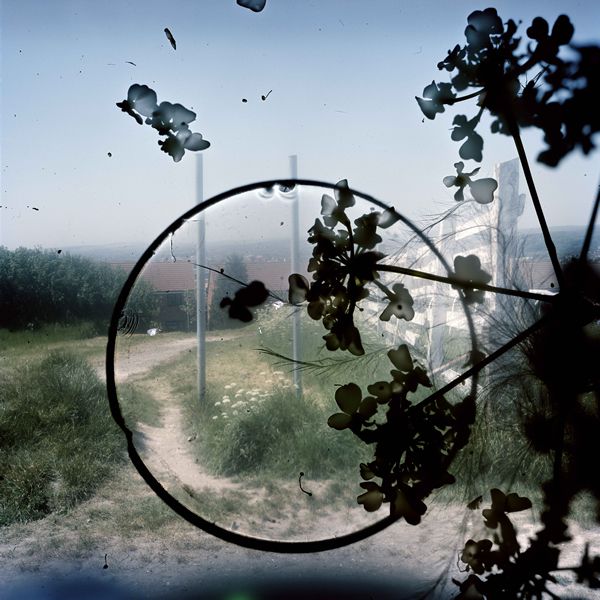 Stephen Gill - Outside In | LensCulture