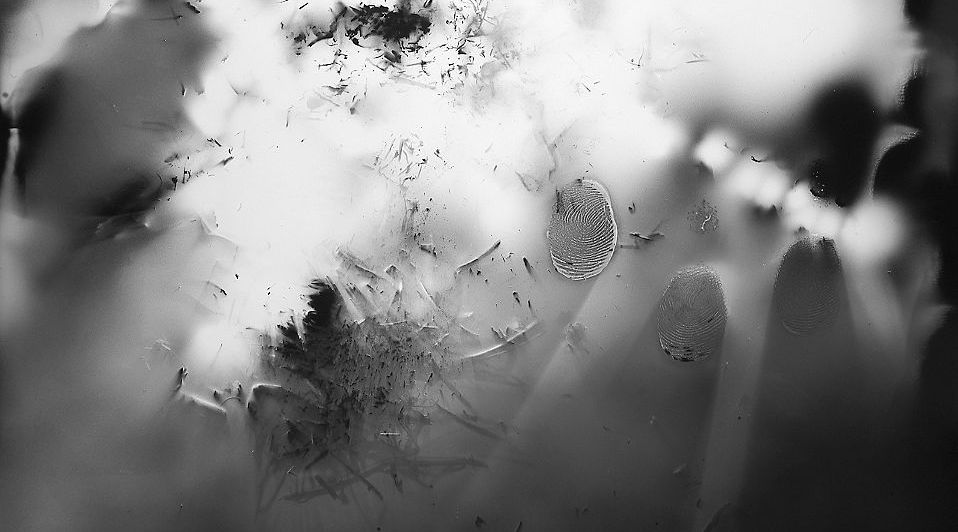 Michael Flomen’s All-Natural Photograms - Photographs by Michael Flomen ...