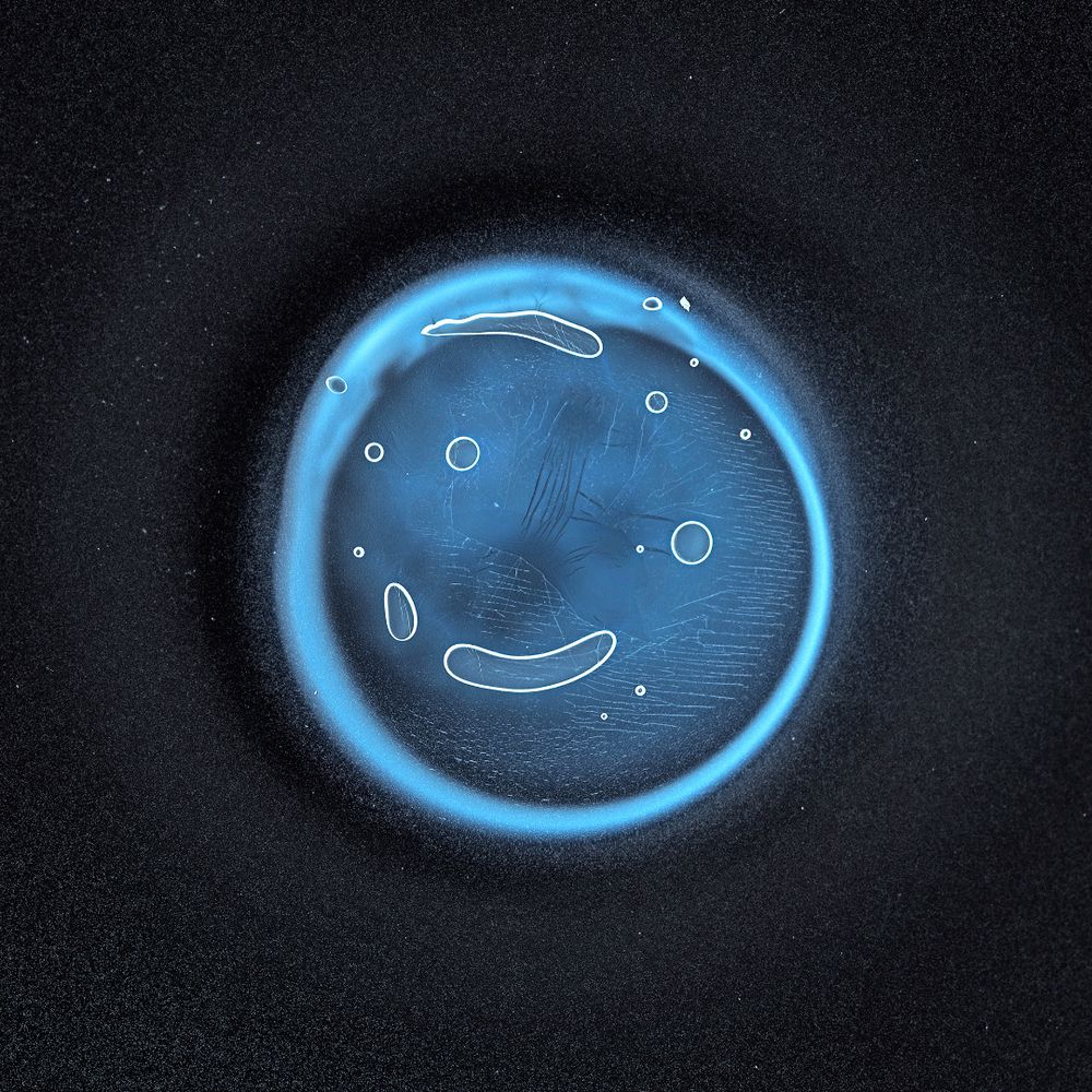 Heliographs - Photographs byClaus Stolz | LensCulture