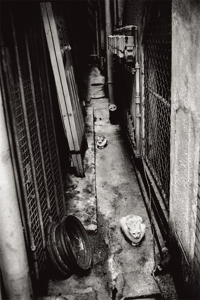 Anders Petersen by Christian Caujolle - Photographs byAnders Petersen ...