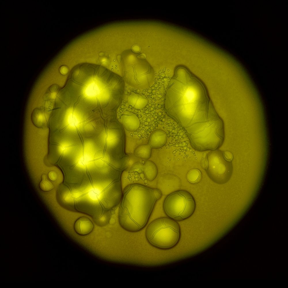 Heliographs - Photographs byClaus Stolz | LensCulture