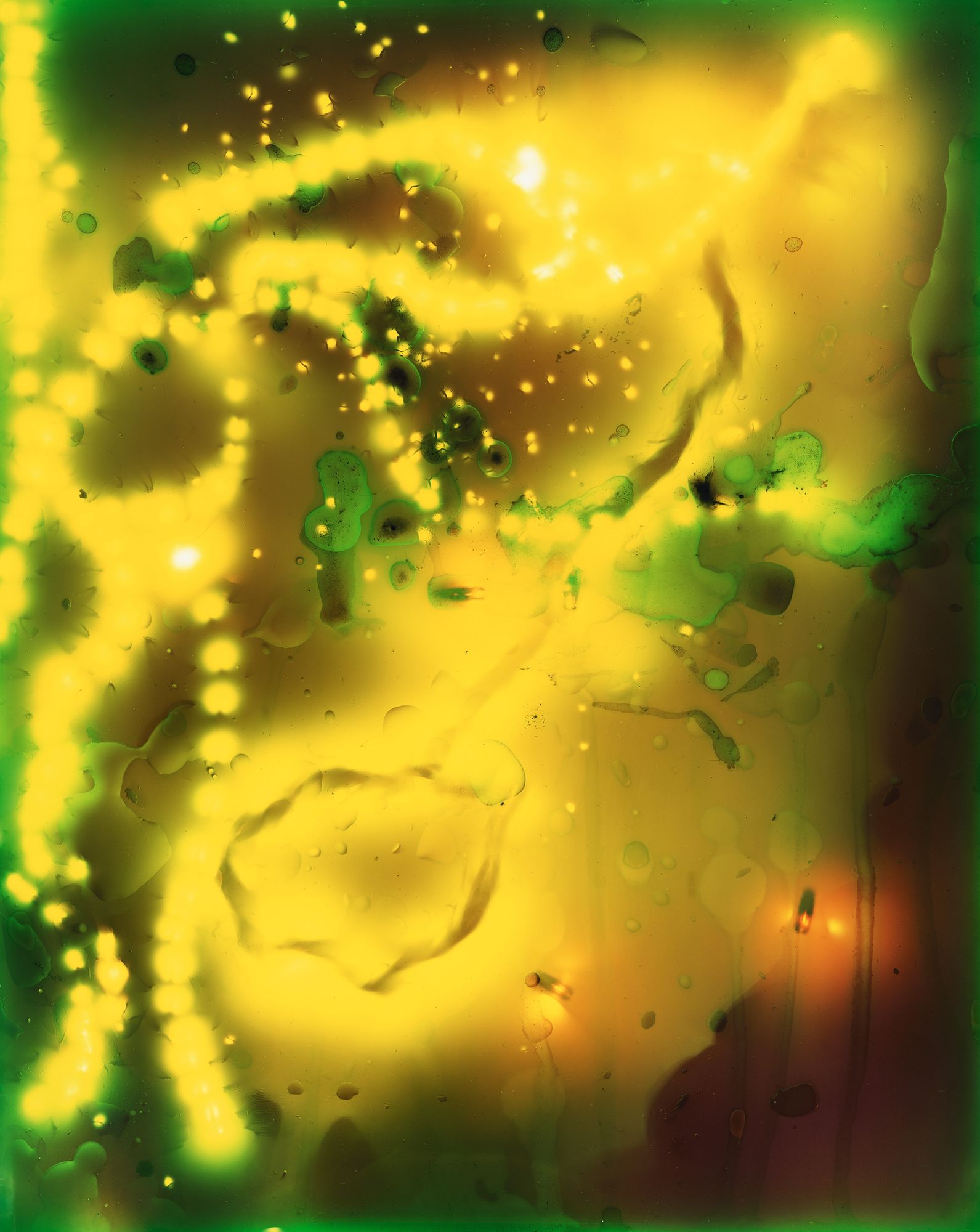 Michael Flomen’s All-Natural Photograms - Photographs by Michael Flomen ...